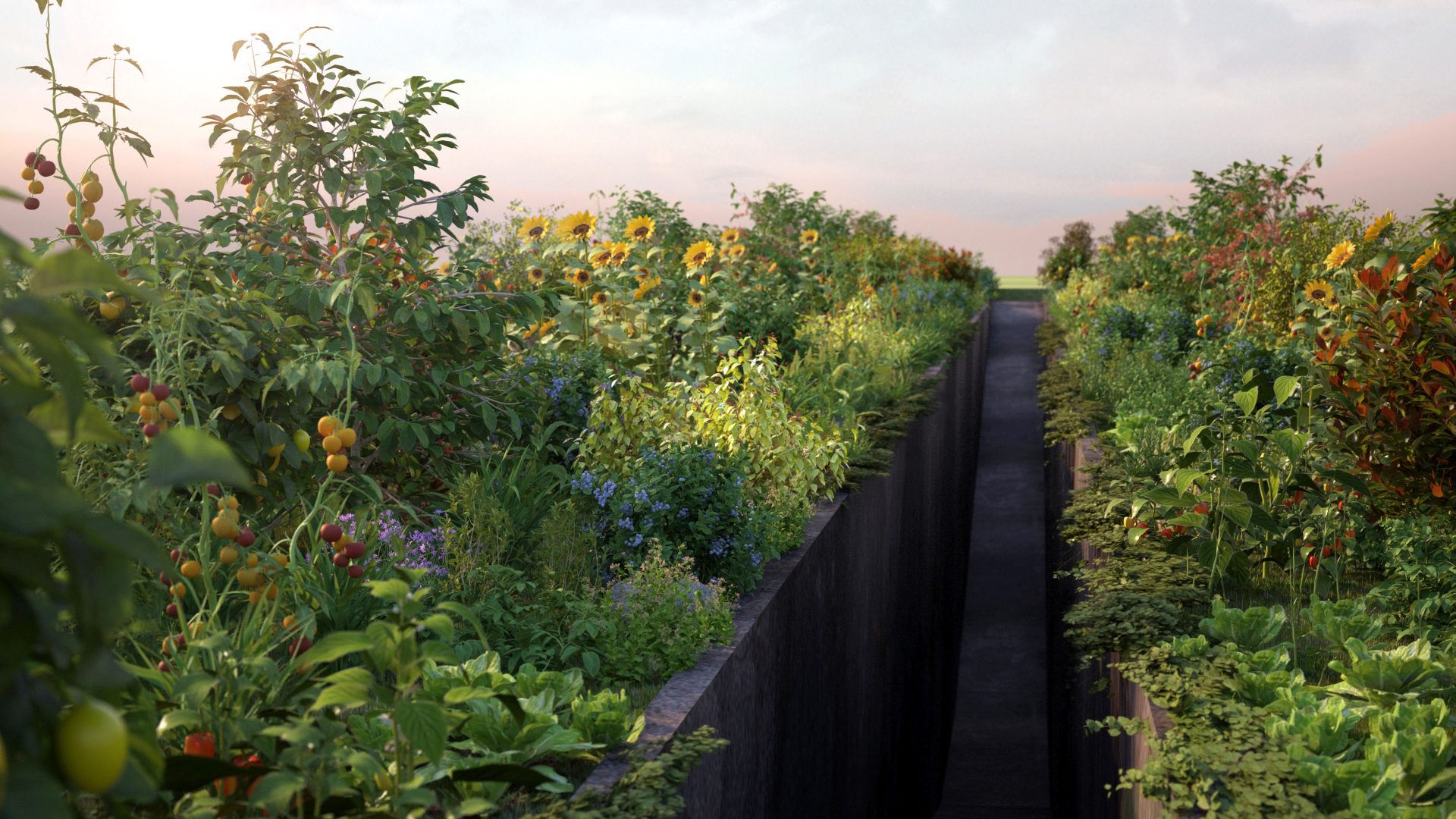 LINE GARDEN – LORENA GUILLÉN VASCHETTI