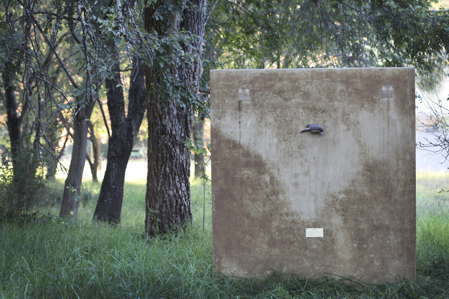 BIRD – LORENA GUILLÉN VASCHETTI